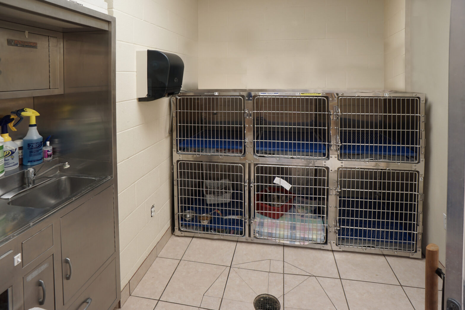 About Us - Southeast Animal Hospital