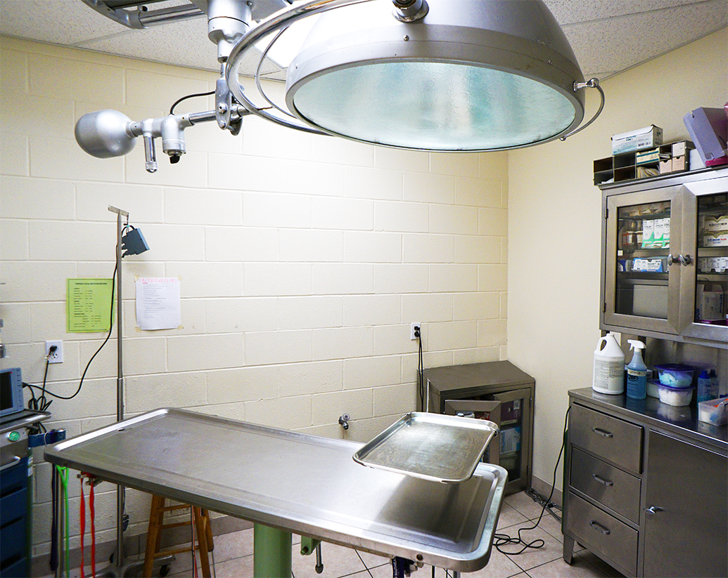About Us - Southeast Animal Hospital